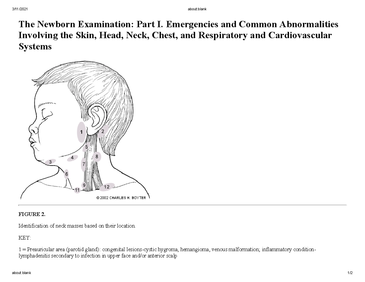 Neck Newborn - 3/11/2021 about:blank about:blank 1/ The Newborn ...