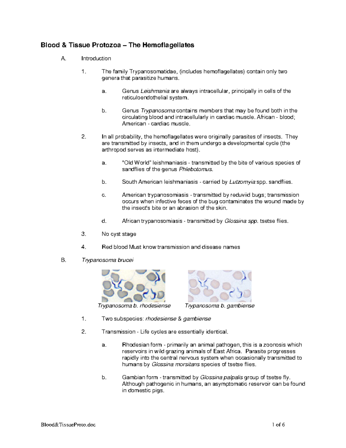 Blood&Tissue Proto - medical microbiology - Blood & Tissue Protozoa ...