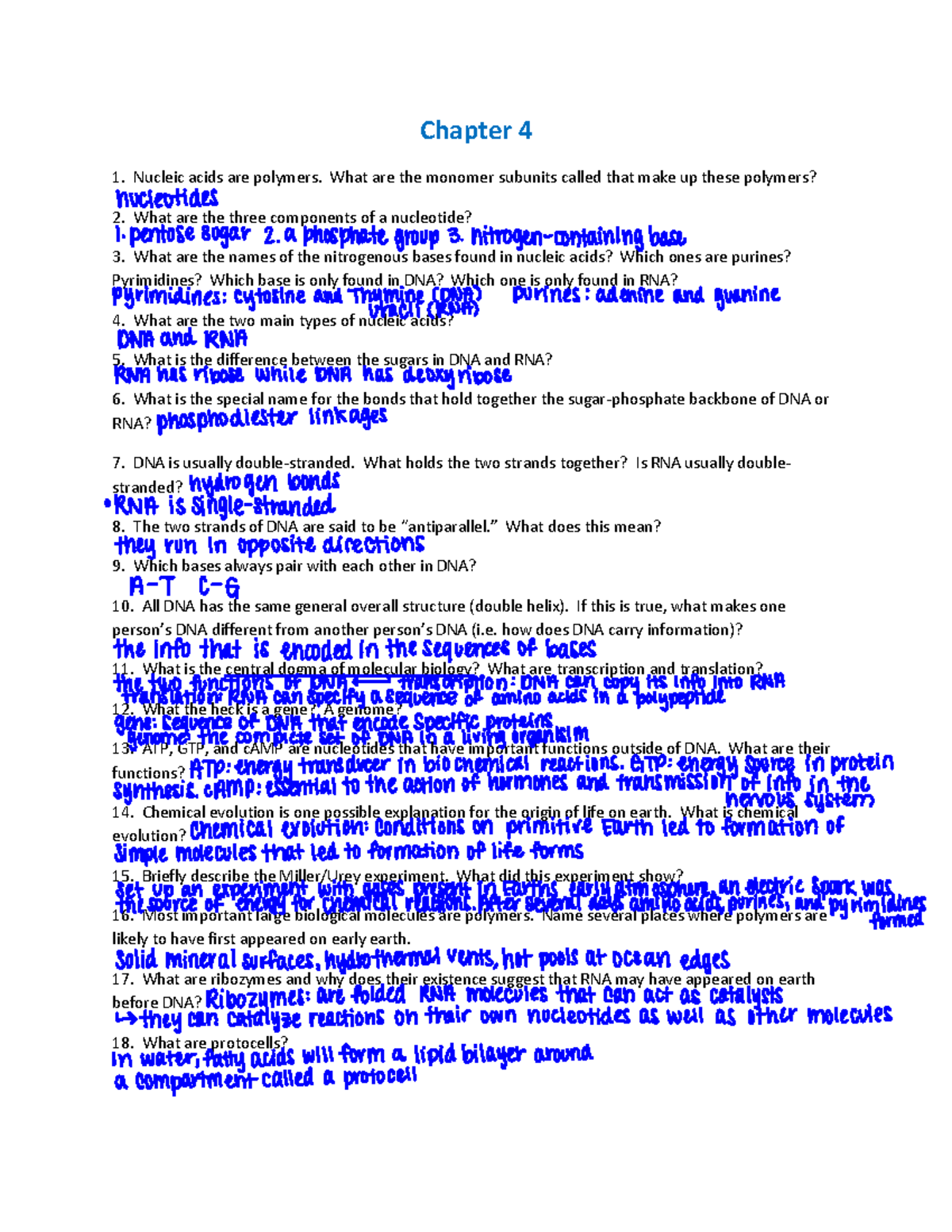 Chapter 4 - Dr. Harries - Chapter 4 1. Nucleic acids are polymers. What ...
