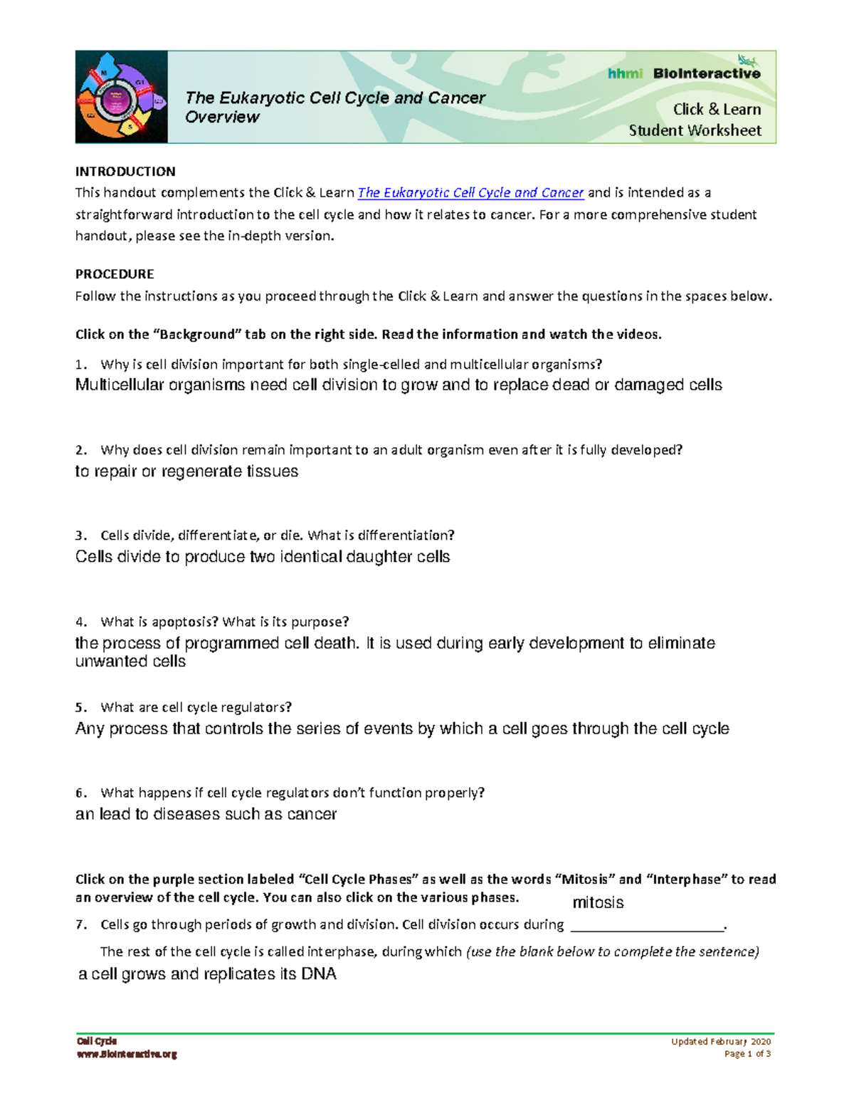 Cell Cycle Overview-Student WS-CL - Click & Learn Student Worksheet The ...