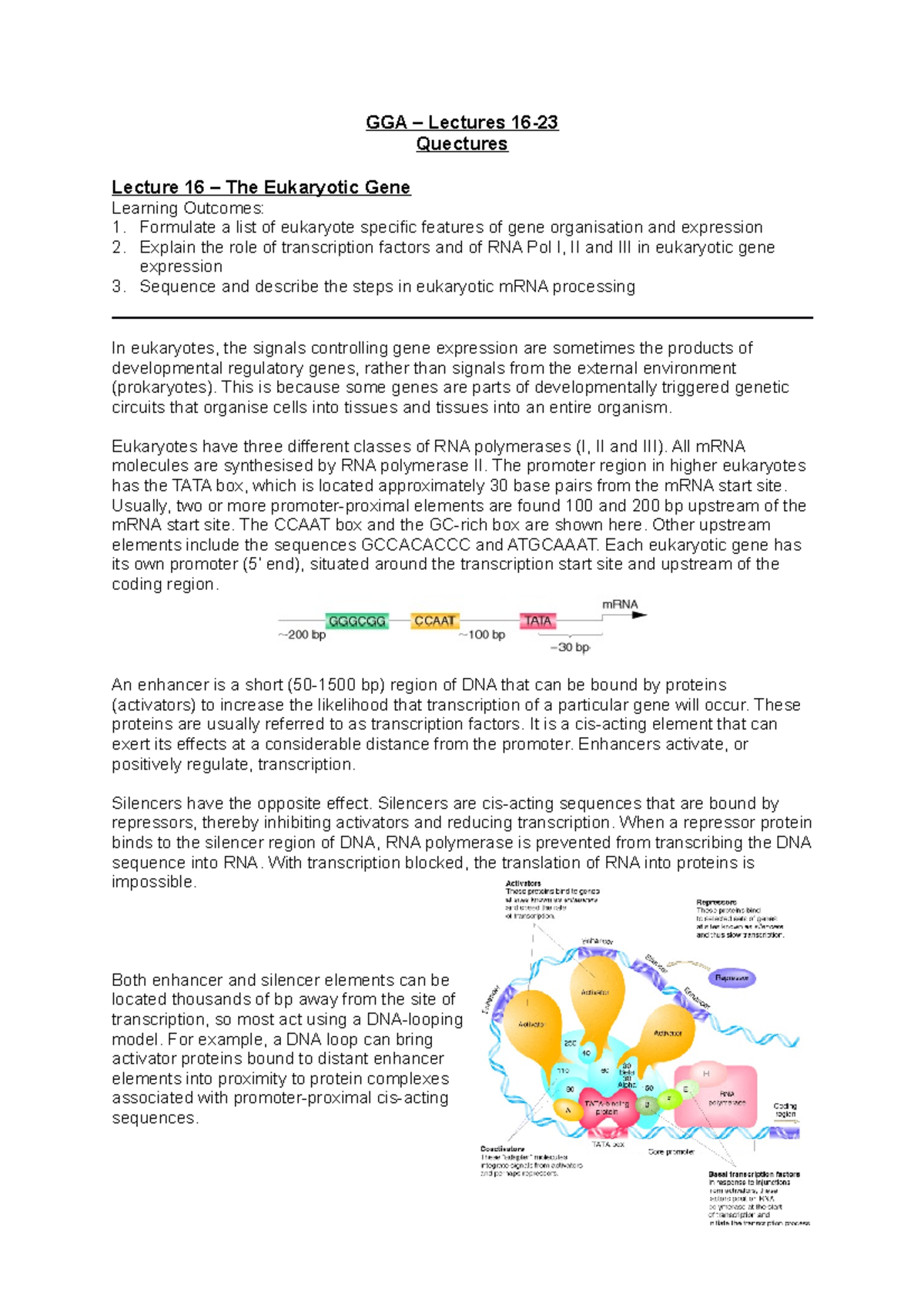 Quectures 16-23 - GGA Lectures Quectures Lecture 16 The Eukaryotic Gene ...