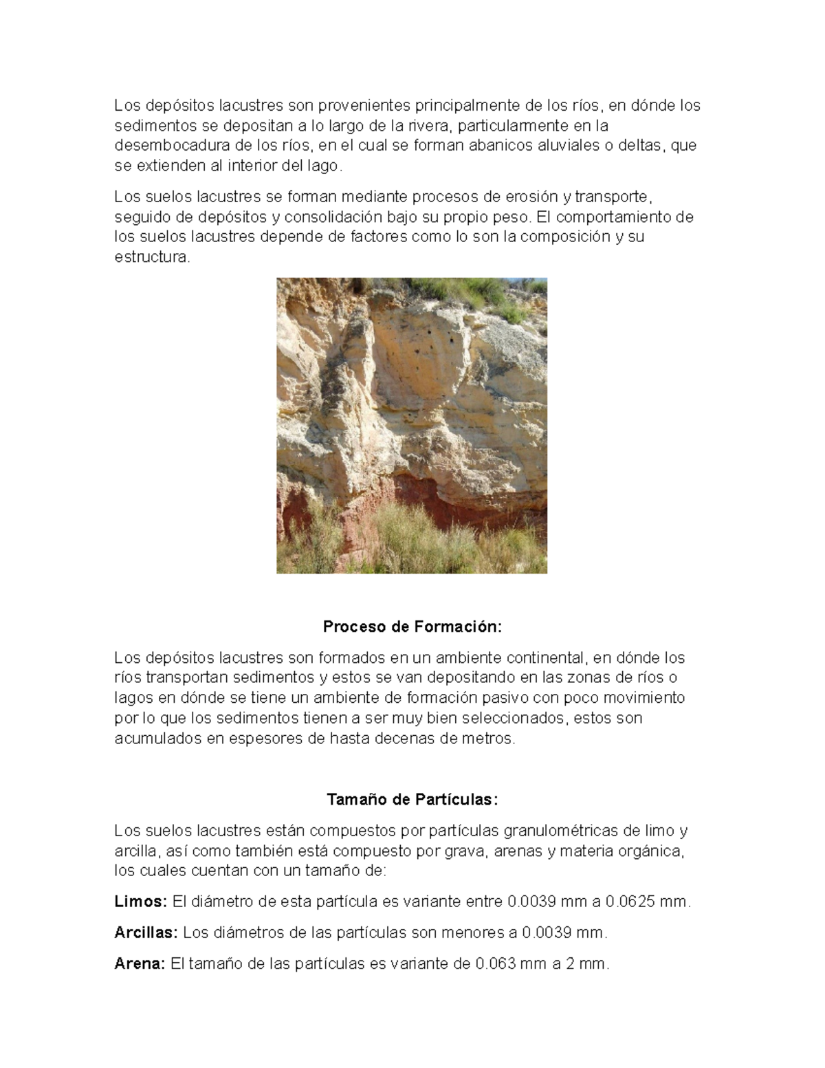 Lacustre - resumen - Los depósitos lacustres son provenientes ...