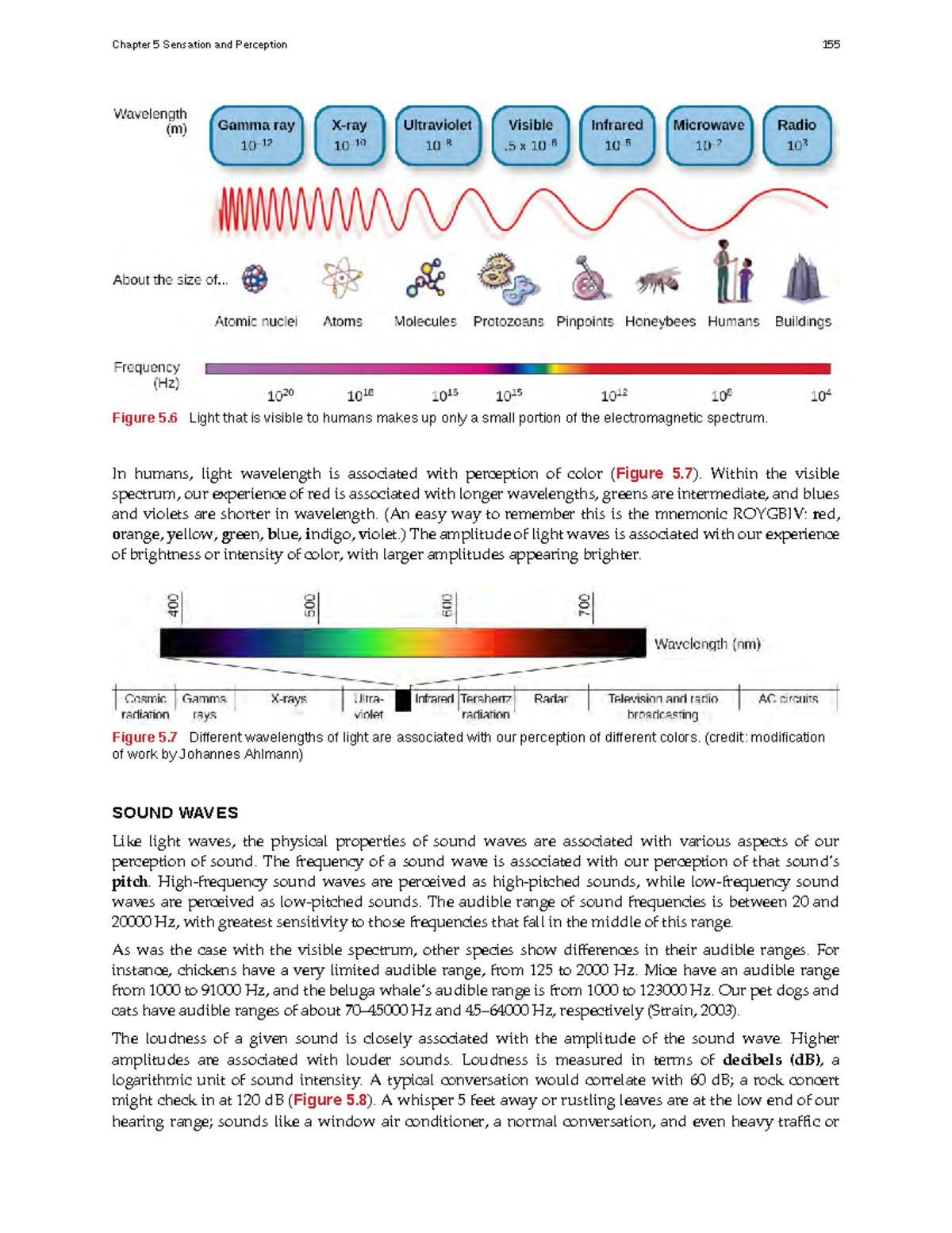 Psychology-LR-55 - Tugas - Figure 5 Light that is visible to humans ...