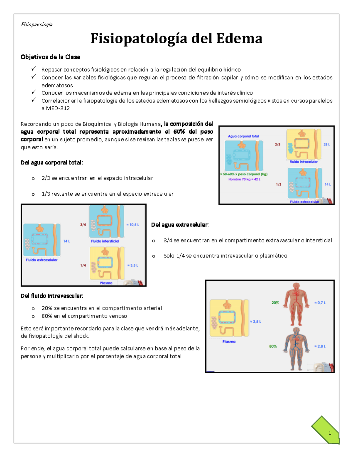 Fisiopatologia del Edema - Fisiopatología del Edema Objetivos de la ...