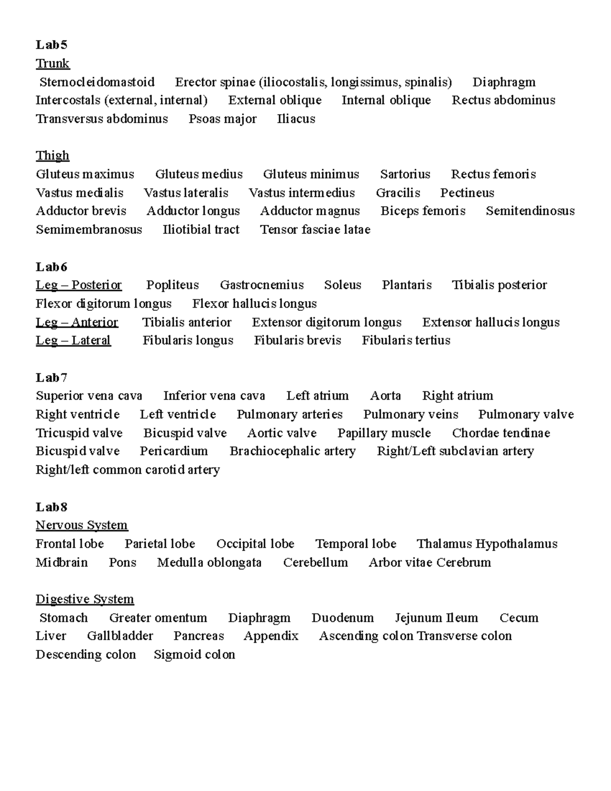 Lab 5-8 lab test 2 word list - Lab Trunk Sternocleidomastoid Erector ...