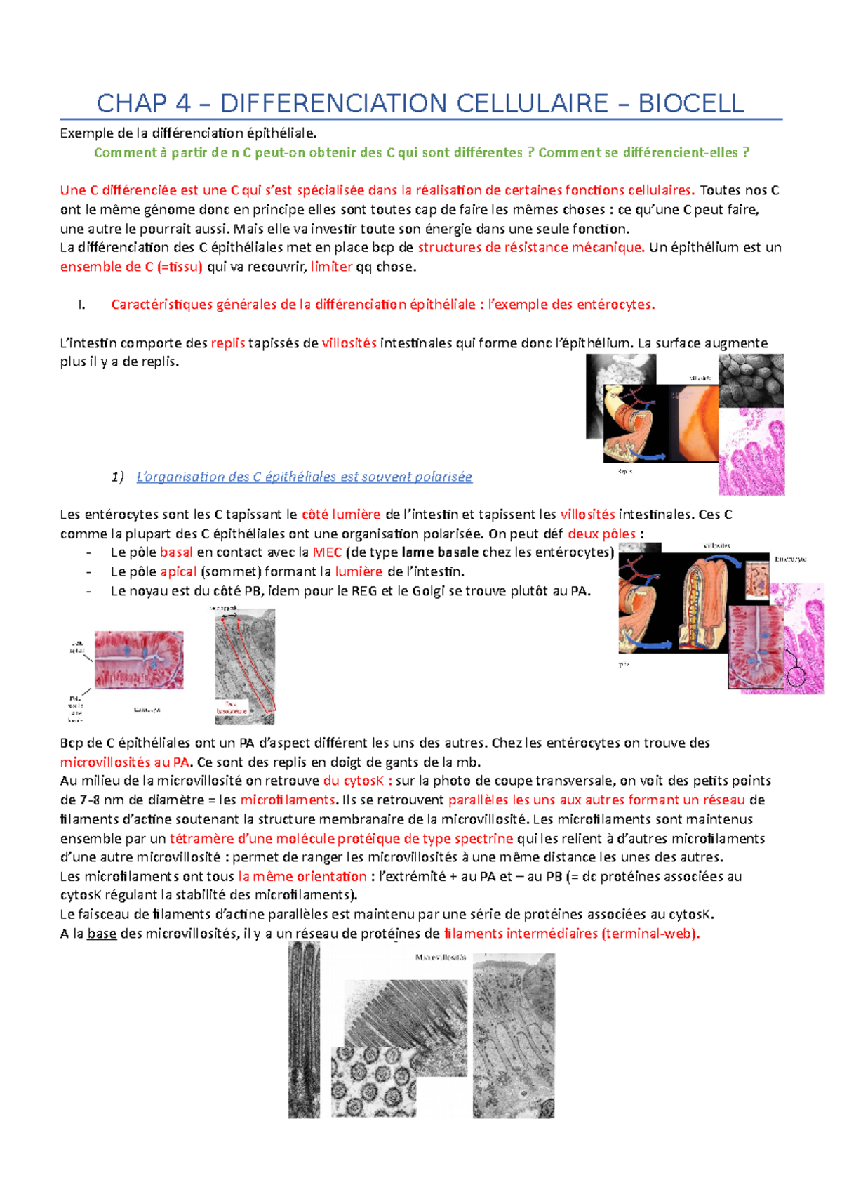 CHAP 4 - Differenciation CELL - CHAP 4 – DIFFERENCIATION CELLULAIRE – BIOCELL Exemple de la ...