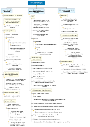 Mind map métabolisme glucidique - vitamines ou dérivés Organique ...