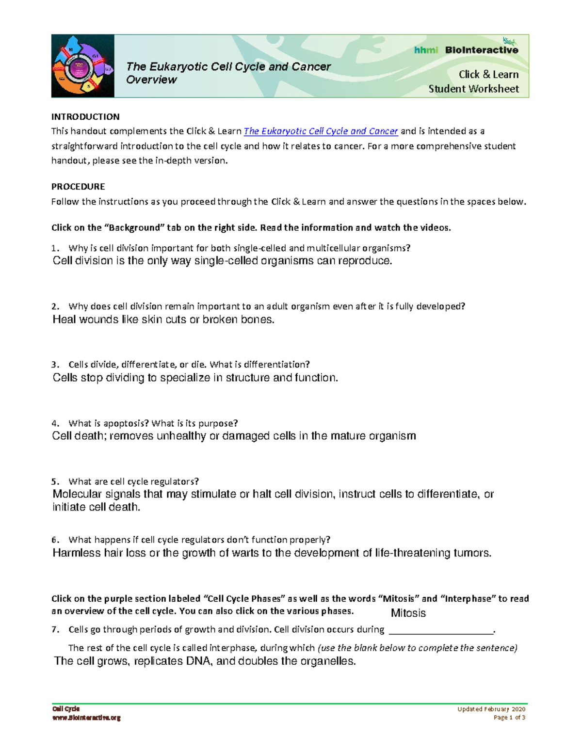 Biology 1 - Cell Cycle and Cancer Overview Notes - Click & Learn ...