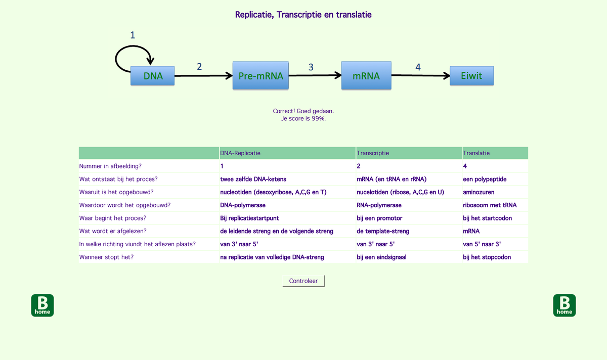 Replicatie, Transcriptie en translatie - Replicatie, Transcriptie en ...