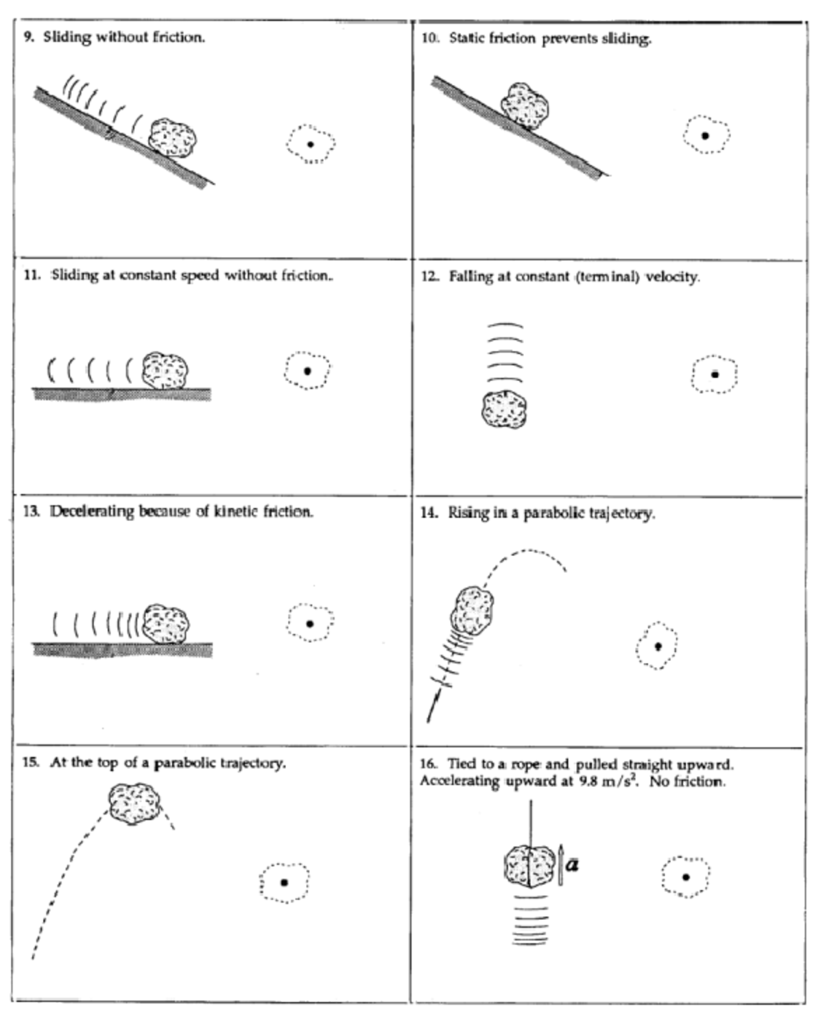Worksheet 9 - Science Assignment - Studocu