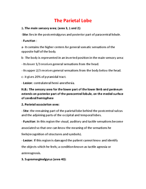 Fascia Transversalis - Fascia Transversalis Definition: It is the ...