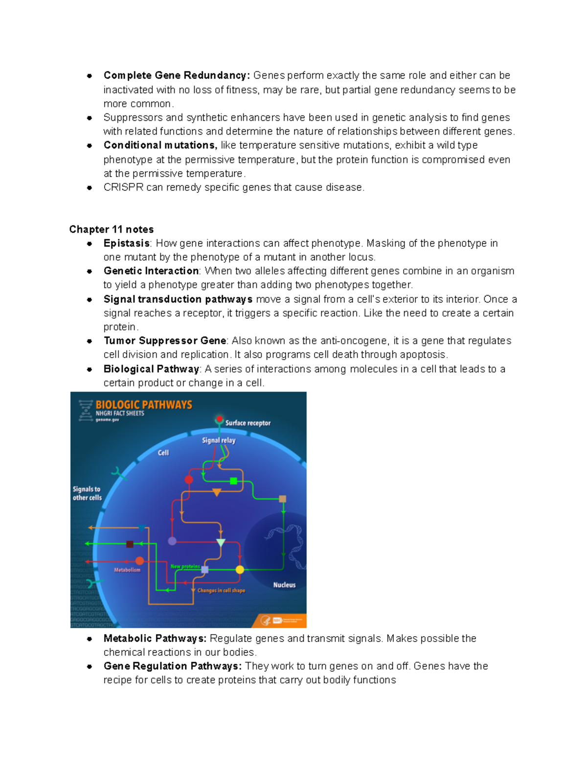 Genetics Exam 3 study guide (dragged) - ï Complete Gene Redundancy ...
