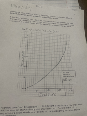 Two drawings assignment - LAB ACTIVITY: TWO DRAWINGS ASSIGNMENT ...