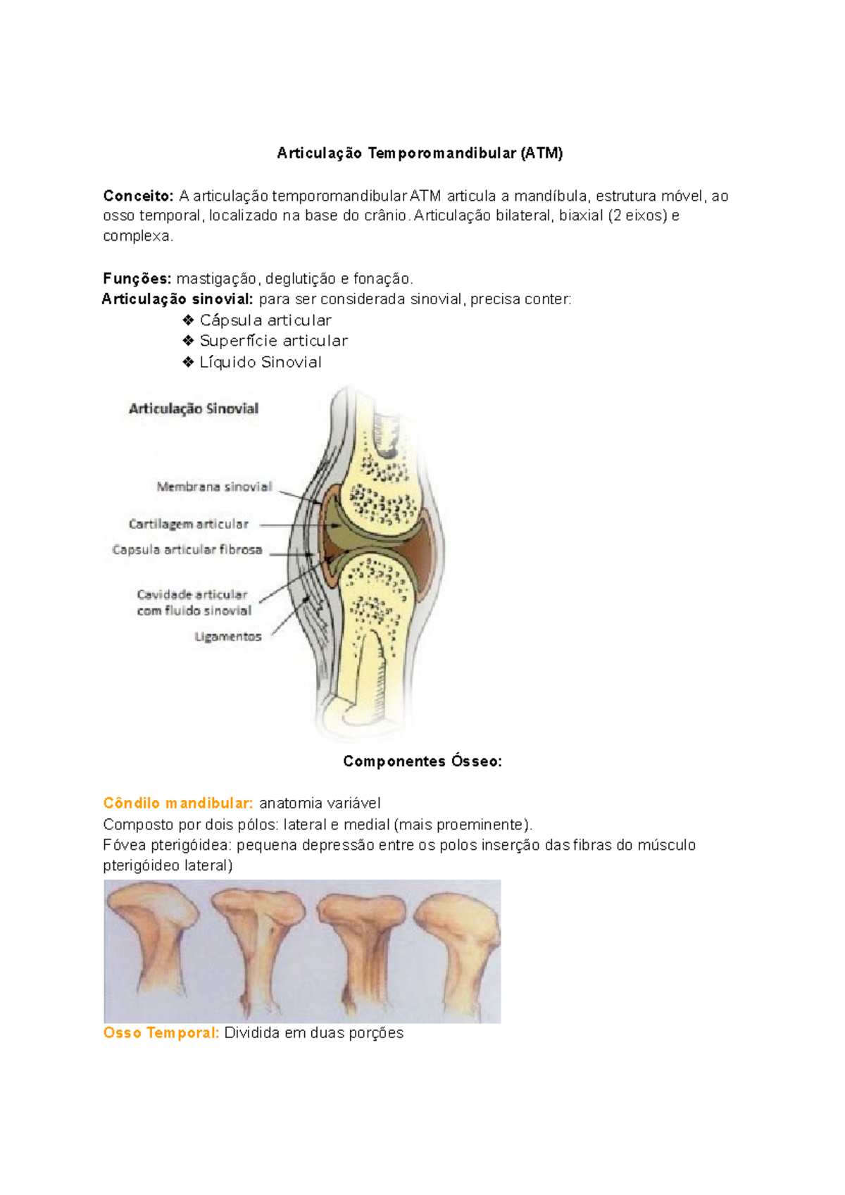 Unidade 3 ATM - Anatomia de Cabeça e Pescoço - Articulação ...