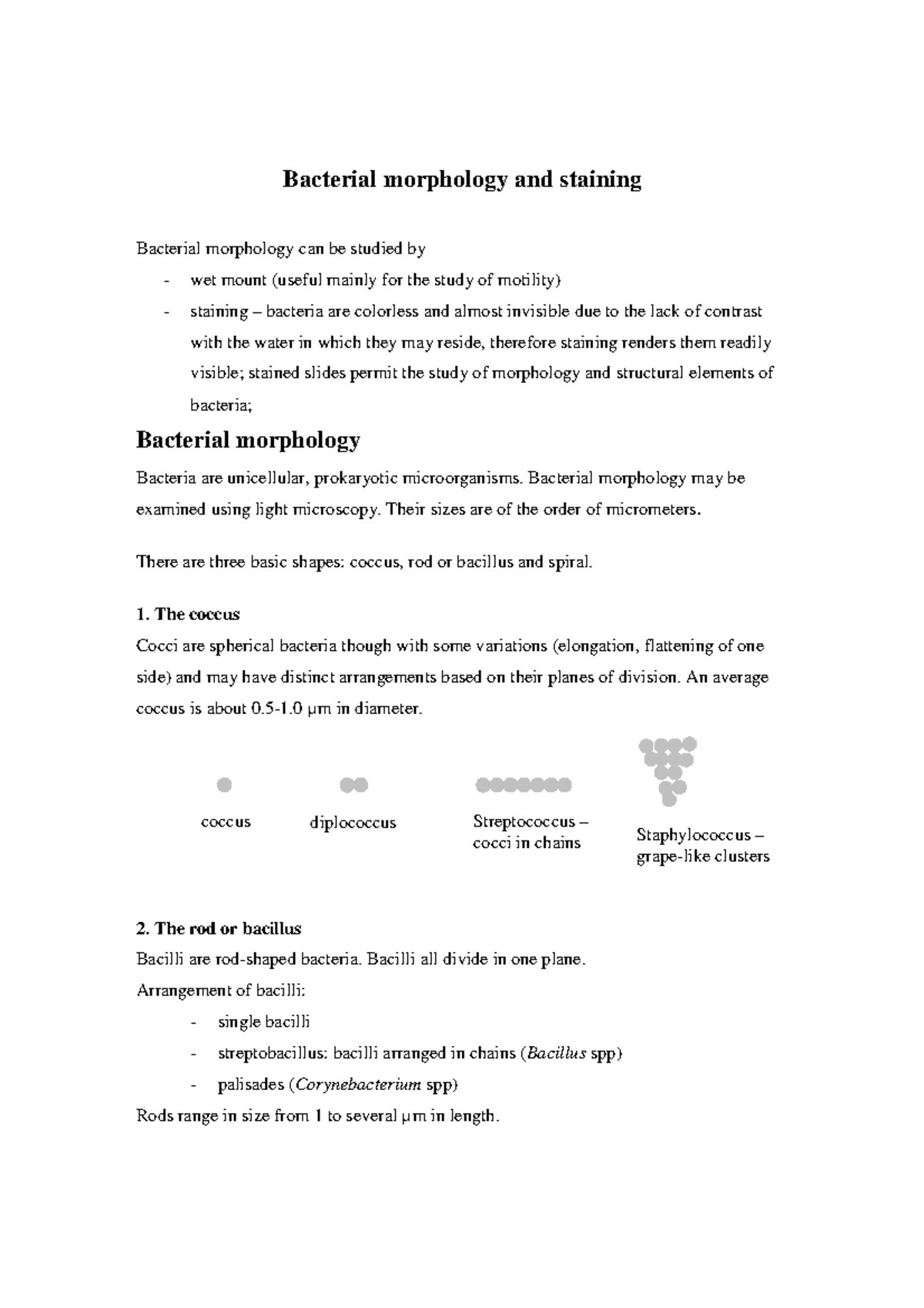 03 Microscopy - Microscopes - Bacterial morphology and staining ...