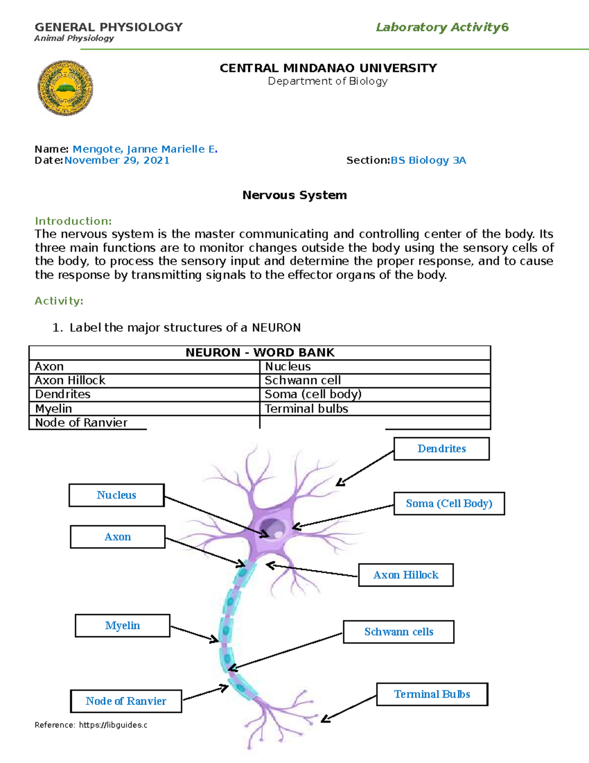 Nervous System Laboratory Activity - Animal Physiology CENTRAL MINDANAO ...