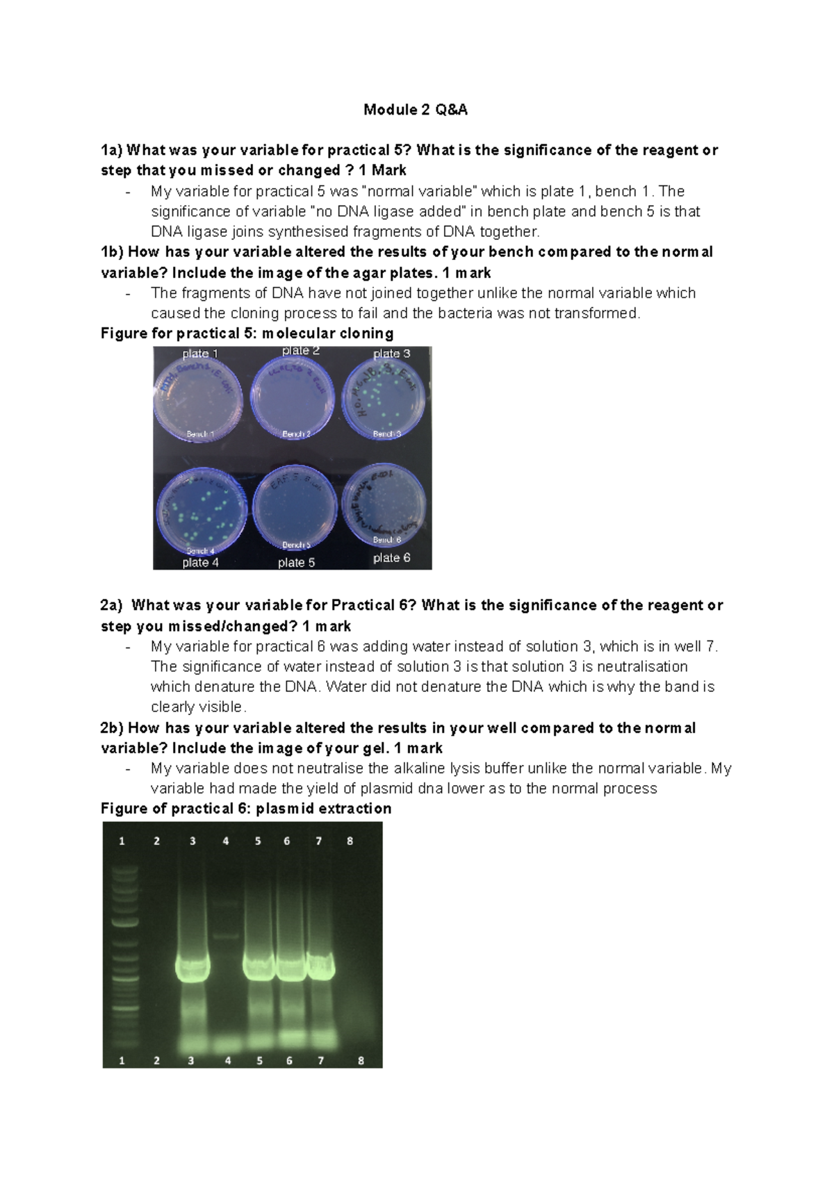 Module 2 Q&A - molecular biology - Module 2 Q&A 1a) What was your ...