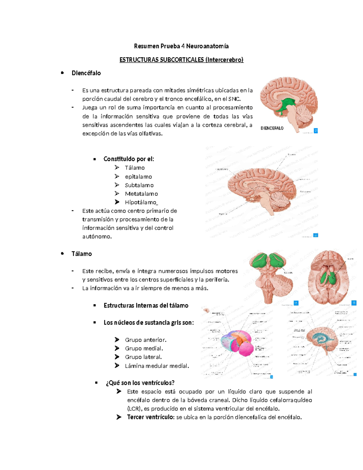Resumen neuroanatomia estructuras subcorticales, gangleos basales, etc ...