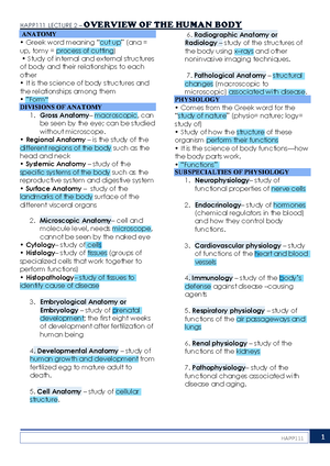 Tissue differentiation - TISSUE FUNCTION STRUCTURES TYPES AND ORGAN ...