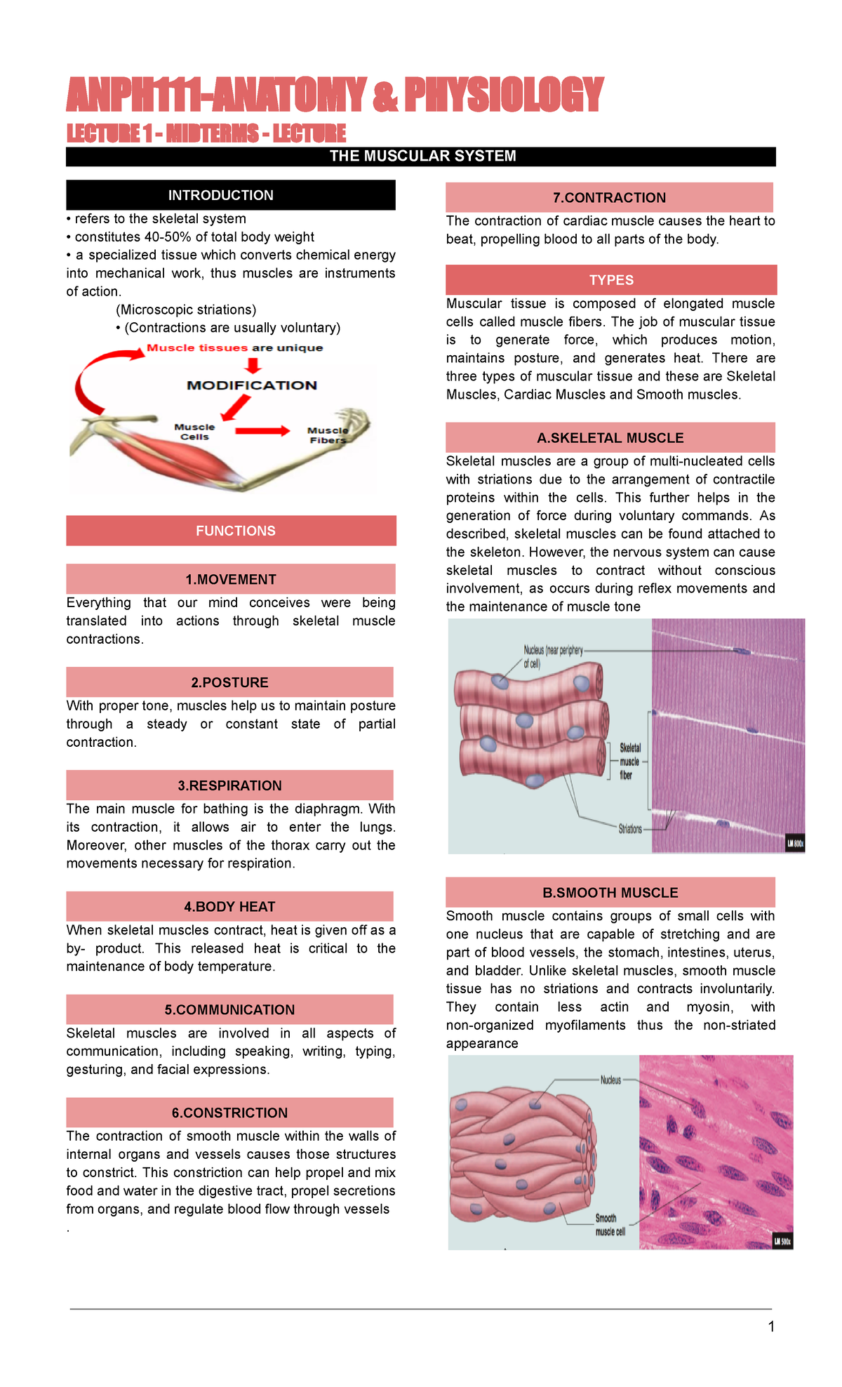 ANPH- MIDTERMS - TRANSE - ANPH111-ANATOMY & PHYSIOLOGY LECTURE 1 ...