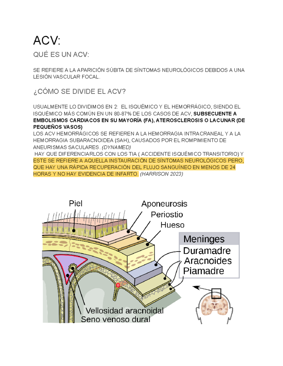 ACV - ACV: QUÉ ES UN ACV: SE REFIERE A LA APARICIÓN SÚBITA DE SÍNTOMAS ...