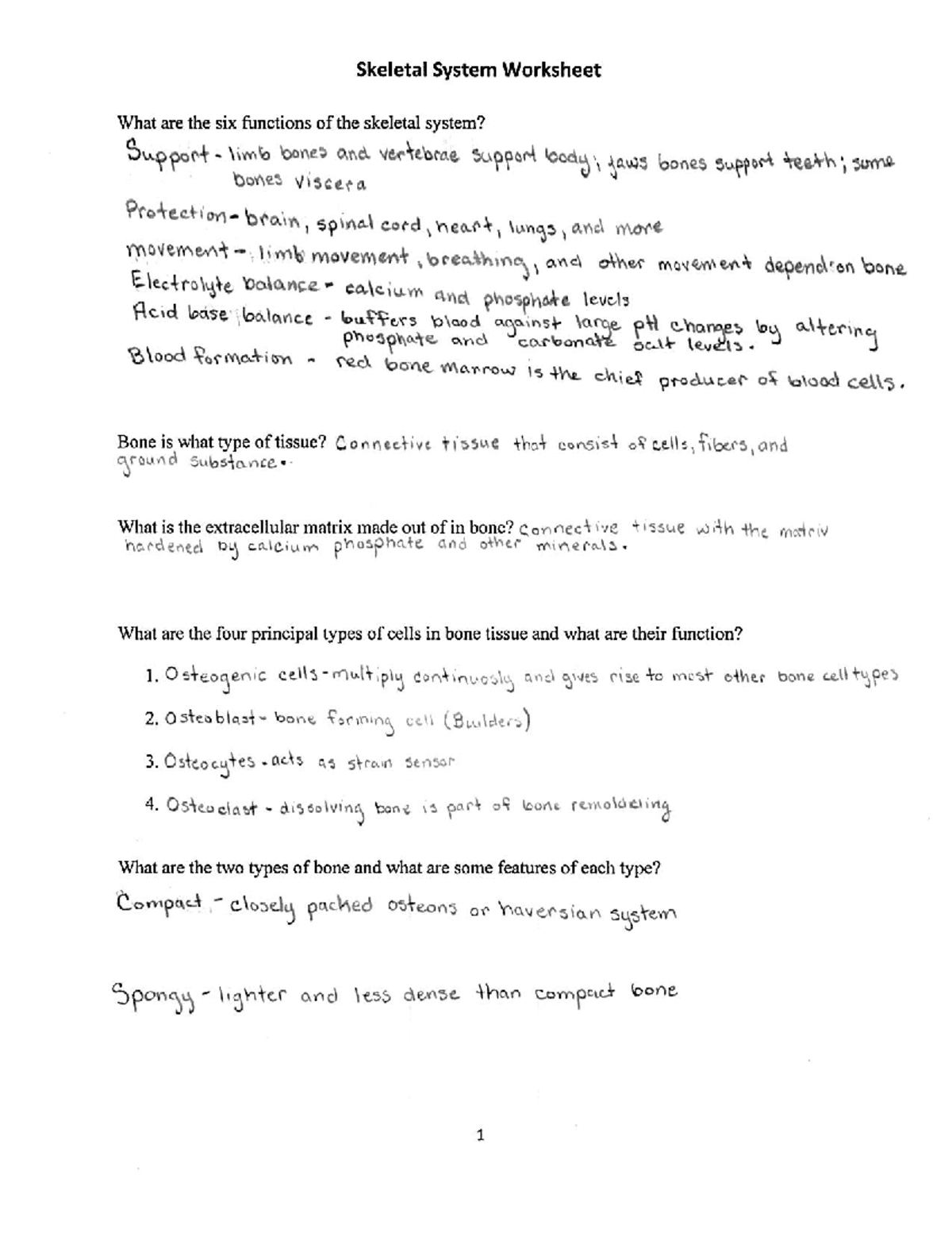 Worksheet Week 6 - Skeletal System - BIO251 - Studocu