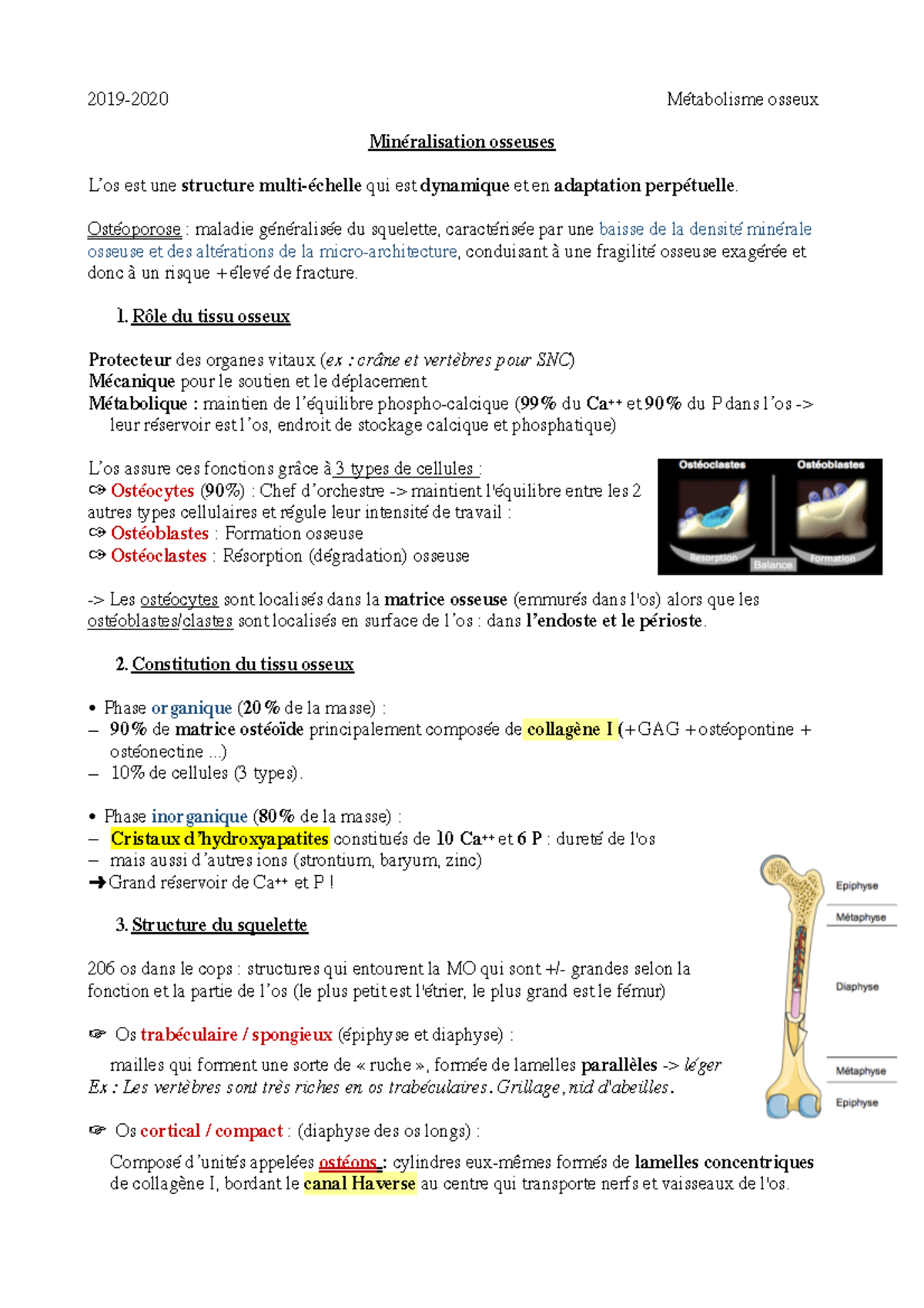 Métab osseux minéralisa - Warning: Error during font loading: XMLHttpRequest is not defined ...