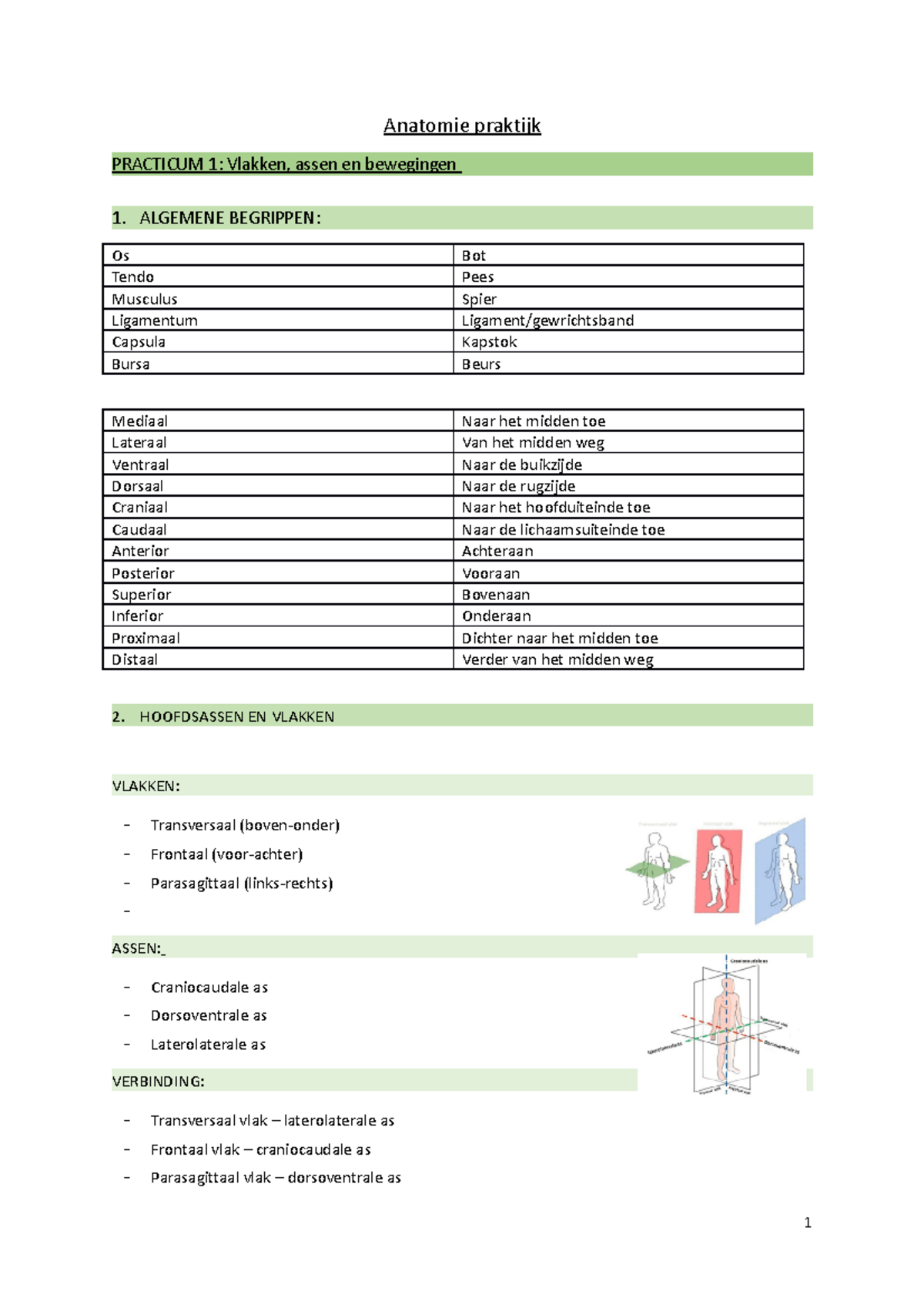 Anatomie praktijk - Anatomie praktijk PRACTICUM 1: Vlakken, assen en ...