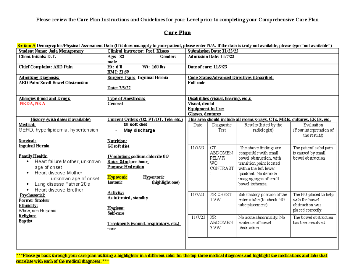 Level 2 Comp essay - Please review the Care Plan Instructions and ...