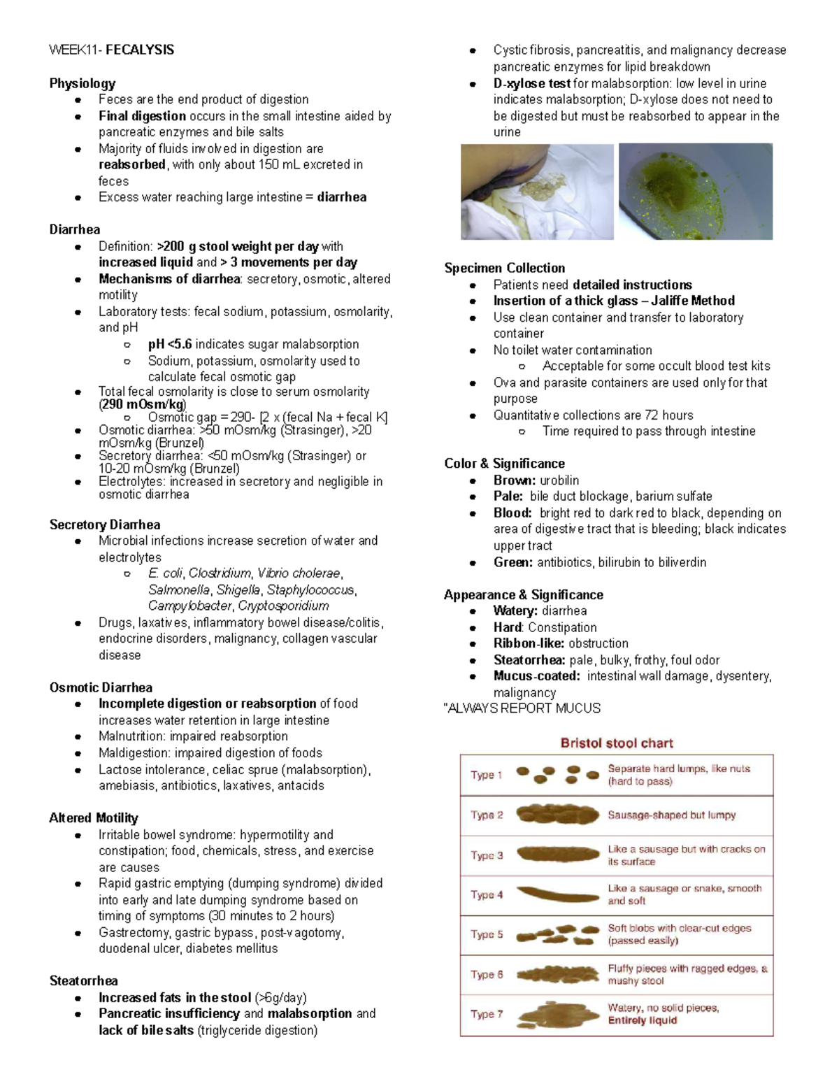 WEEK11- Fecalysis - lecture notes for AUB - FECALYSIS Physiology Feces ...