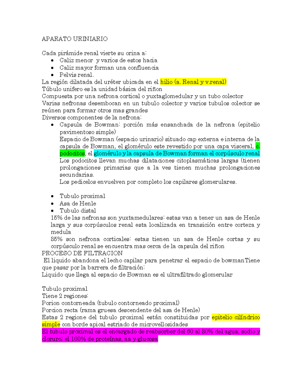 Aparato Uriniario - APARATO URINIARIO Cada pirámide renal vierte su ...