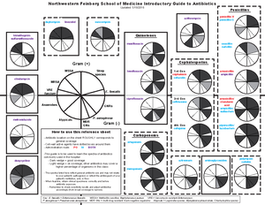 ATI - Potassium Chloride - ACTIVE LEARNING TEMPLATES TherapeuTic ...