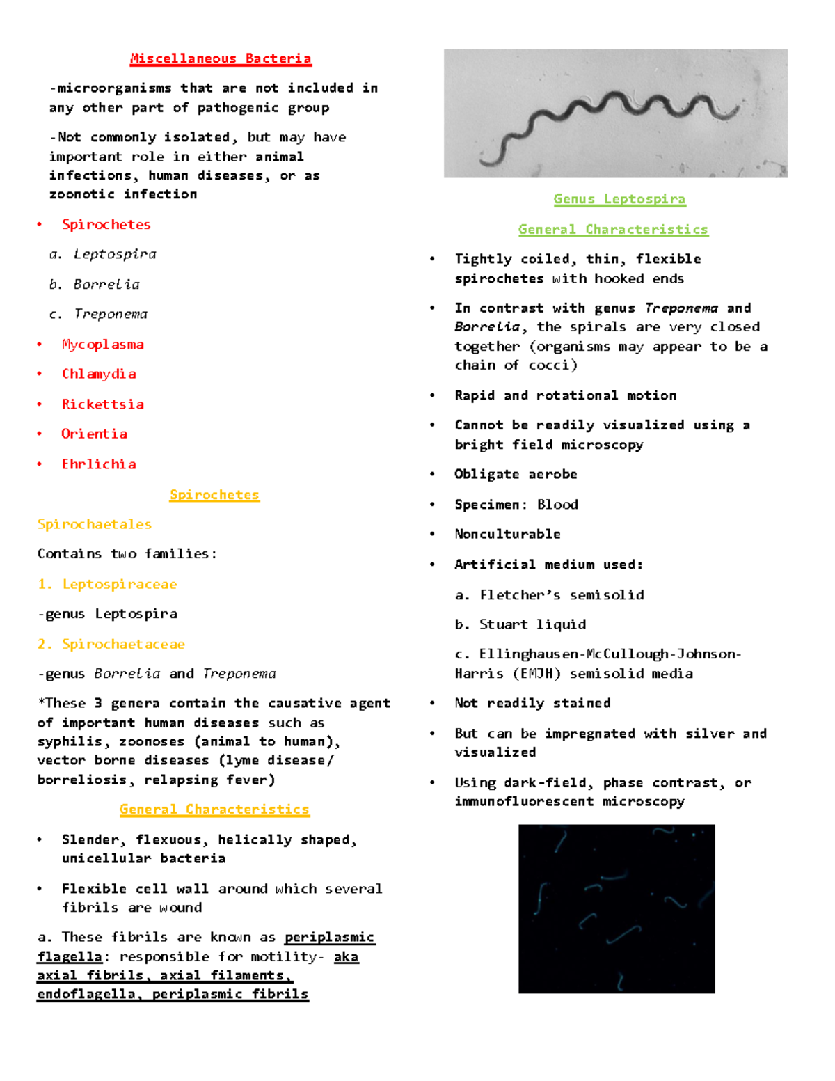 Miscellaneous Bacteria reviewer second year - Miscellaneous Bacteria ...