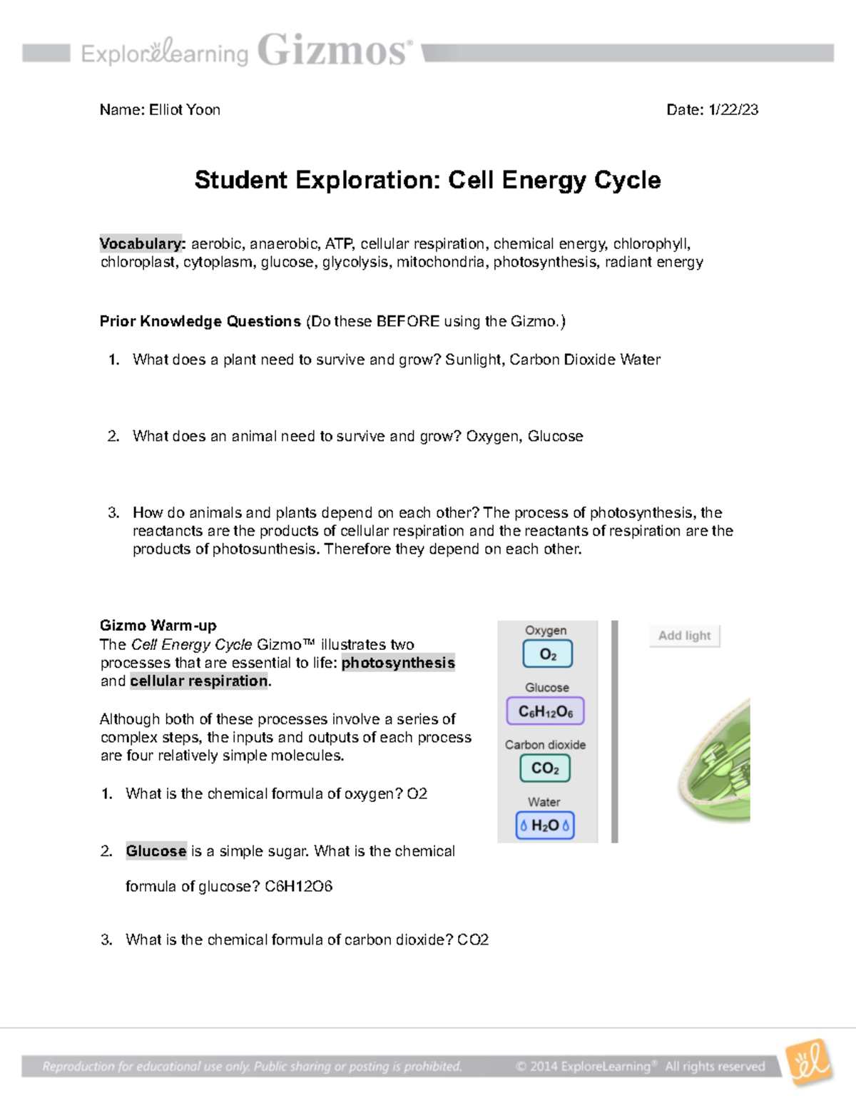 Cell Energy SE (1) - Gizmo - Name: Elliot Yoon Date: 1/22/ Student ...