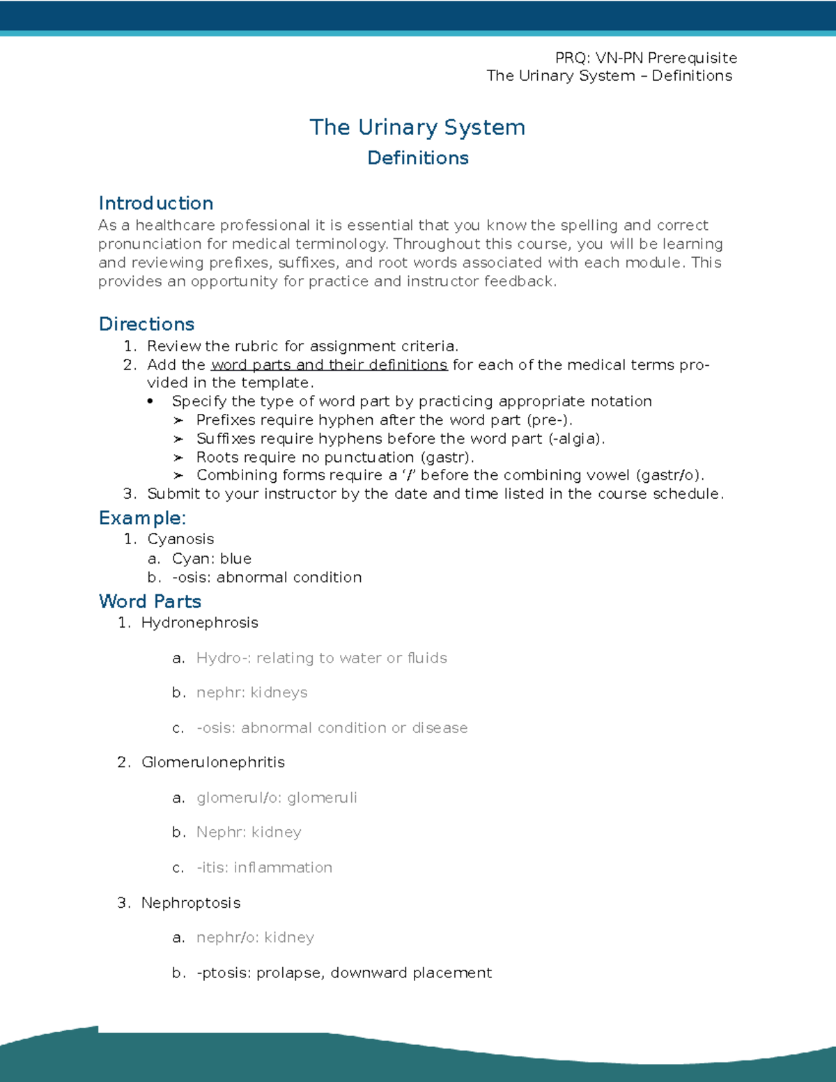 Assignment Definitions Ch. 9 Urinary - The Urinary System – Definitions ...