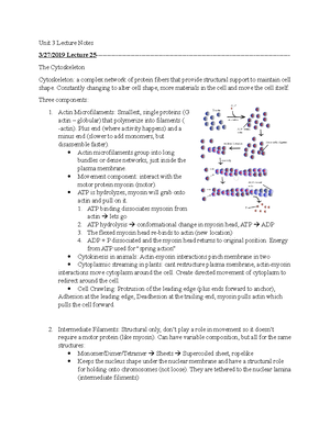 Jamie Thompson VSIM Guided Reflection - Jamie Thompson Mental Health ...