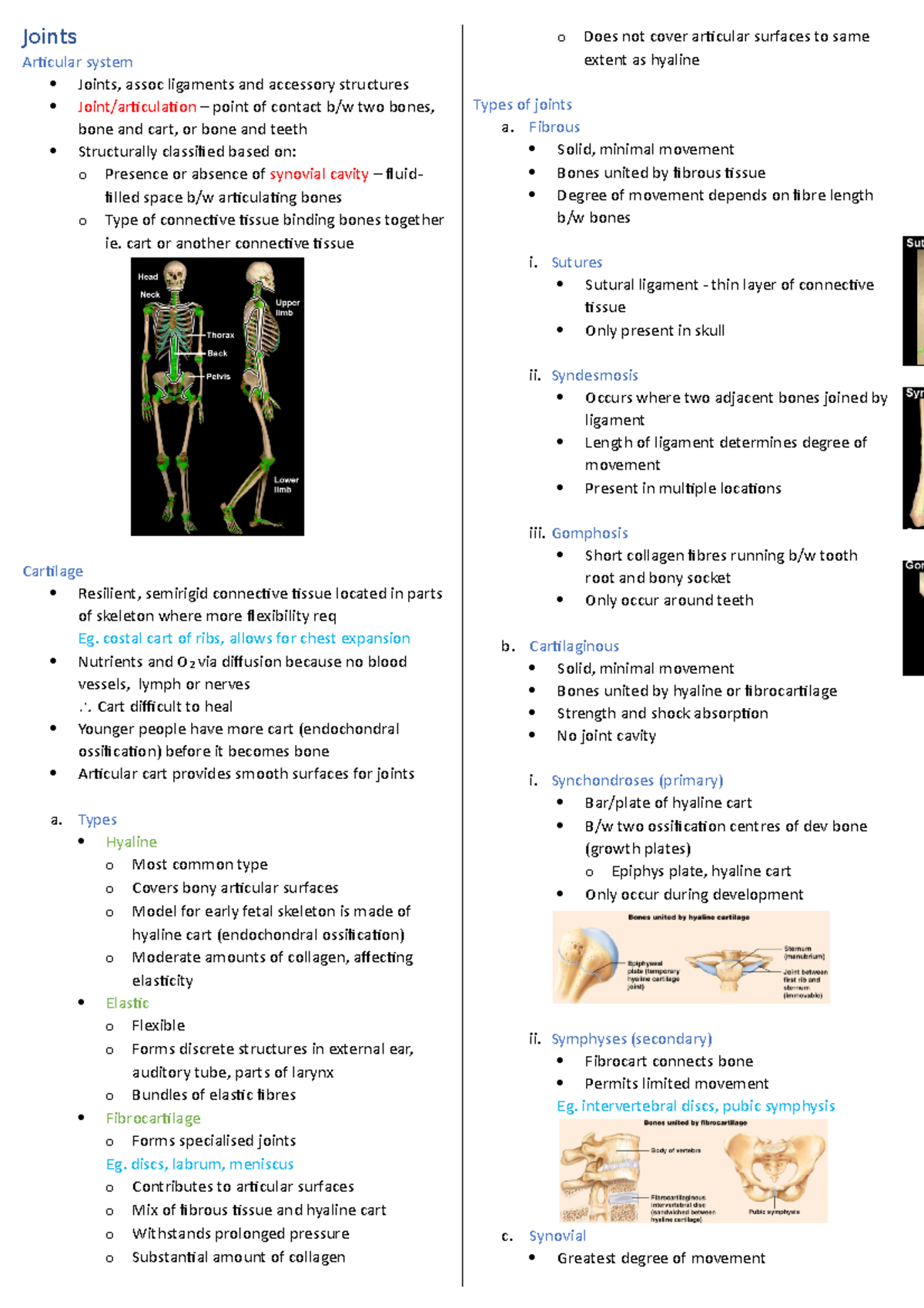 Lecture 20 - Articular system and joints - Joints Articular system ...