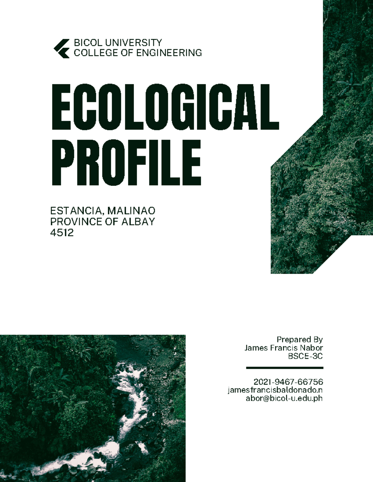 Ecological Profile-Estancia,Malinao, Albay - ECOLOGICAL PROFILE ...