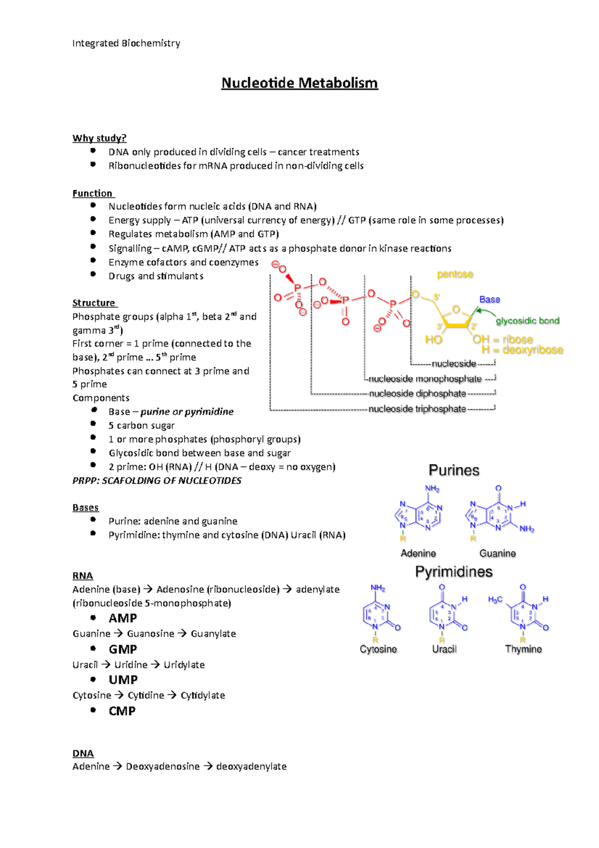 32 Nitrogen Nucleotide Metabolism Basicmedical Key