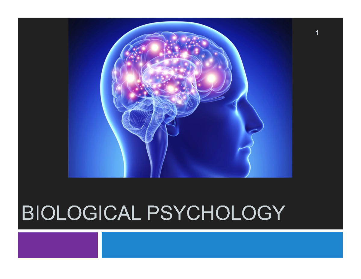 Biological Psychology Ankowski SV PDF-3 - BIOLOGICAL PSYCHOLOGY 1 Outline for Biological ...