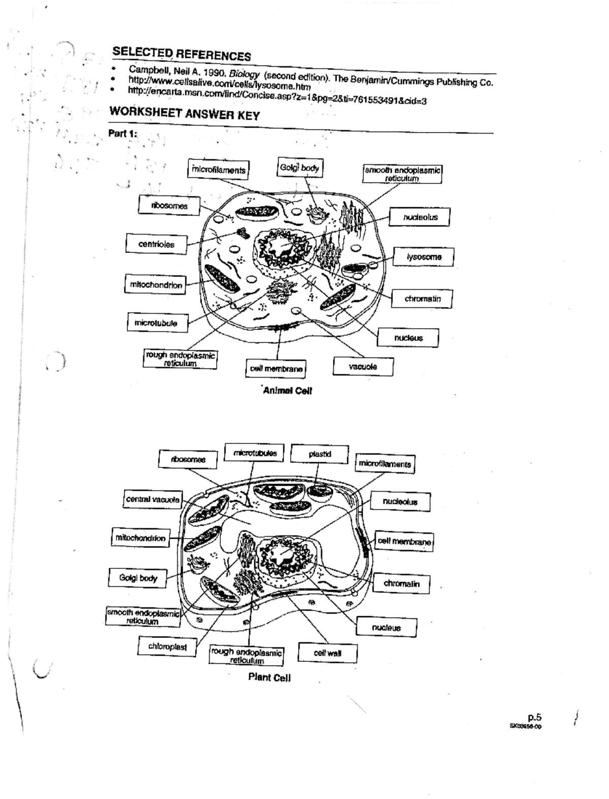 Cell label key - Cell labe;l - SELECTED REFERENCES Campbell, Neil A ...