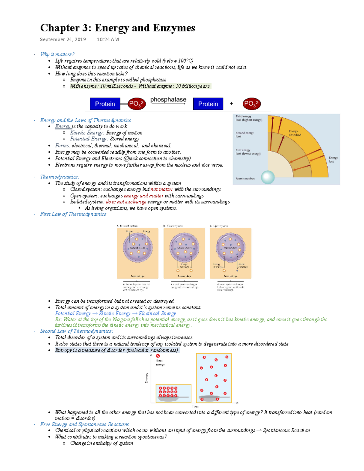 Energy and enzymes - Lecture notes 1 - Warning: TT: undefined function ...