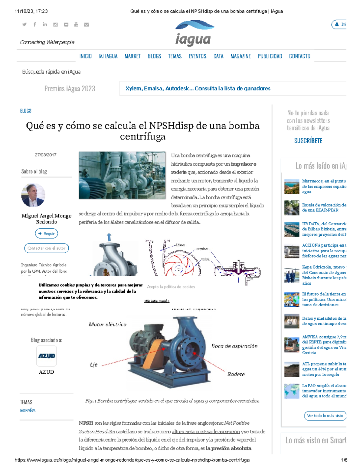 NPSHdisp de una bomba centrífuga - Connecting Waterpeople Ini INICIO MI ...