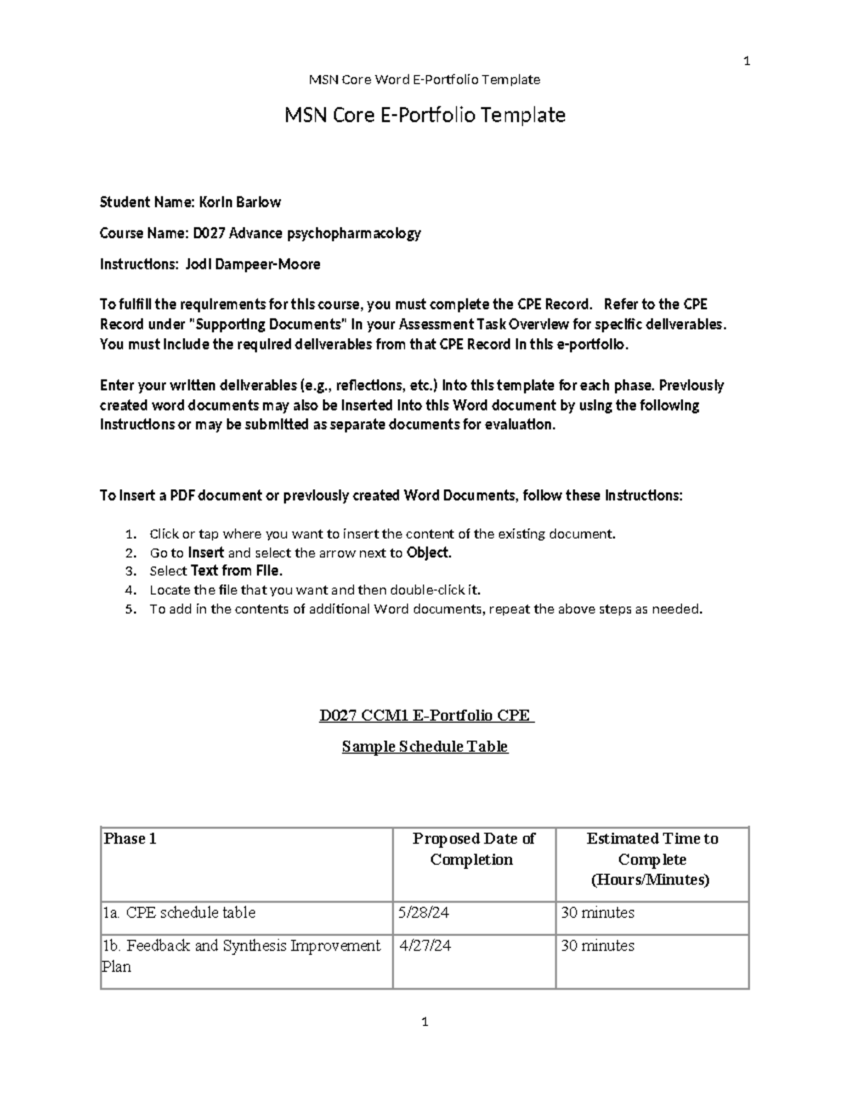 Eportfolio D 027 - MSN Core Word E-Portfolio Template MSN Core E ...