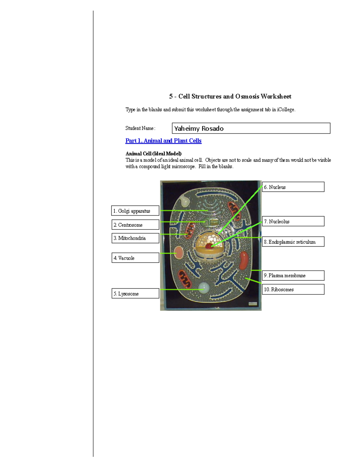 5-Cell Structure and Osmosis Worksheet-23 - 5 - Cell Structures and ...