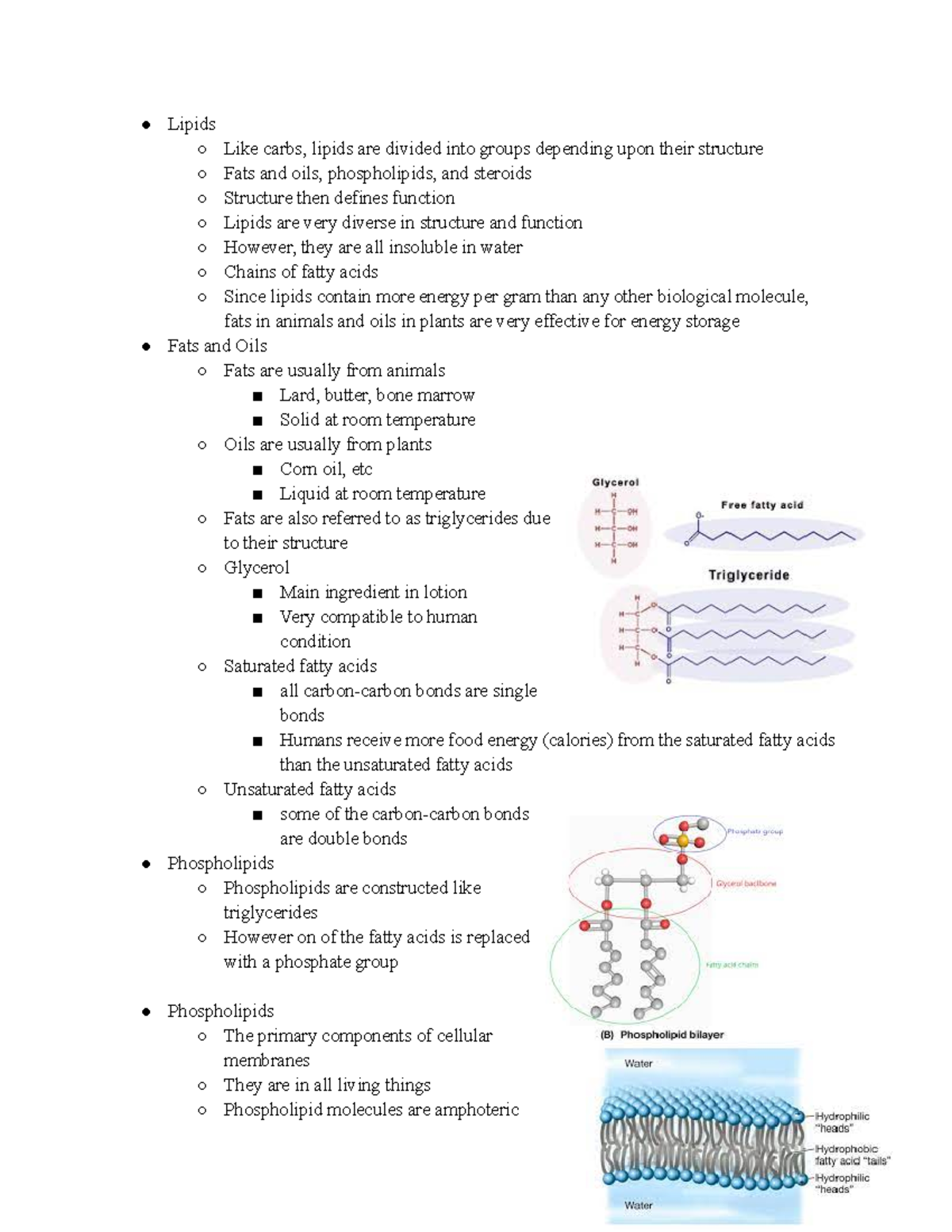 Exam 1 - BIO - Notes for Exam 1 - Lipids Like carbs, lipids are divided ...