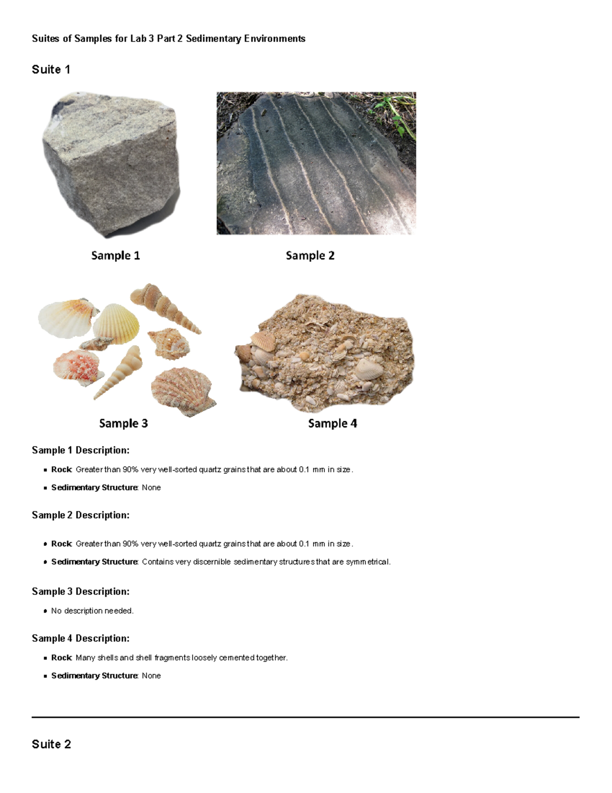Sedimentary Environments Samples - Fall 2023 - General Historical ...