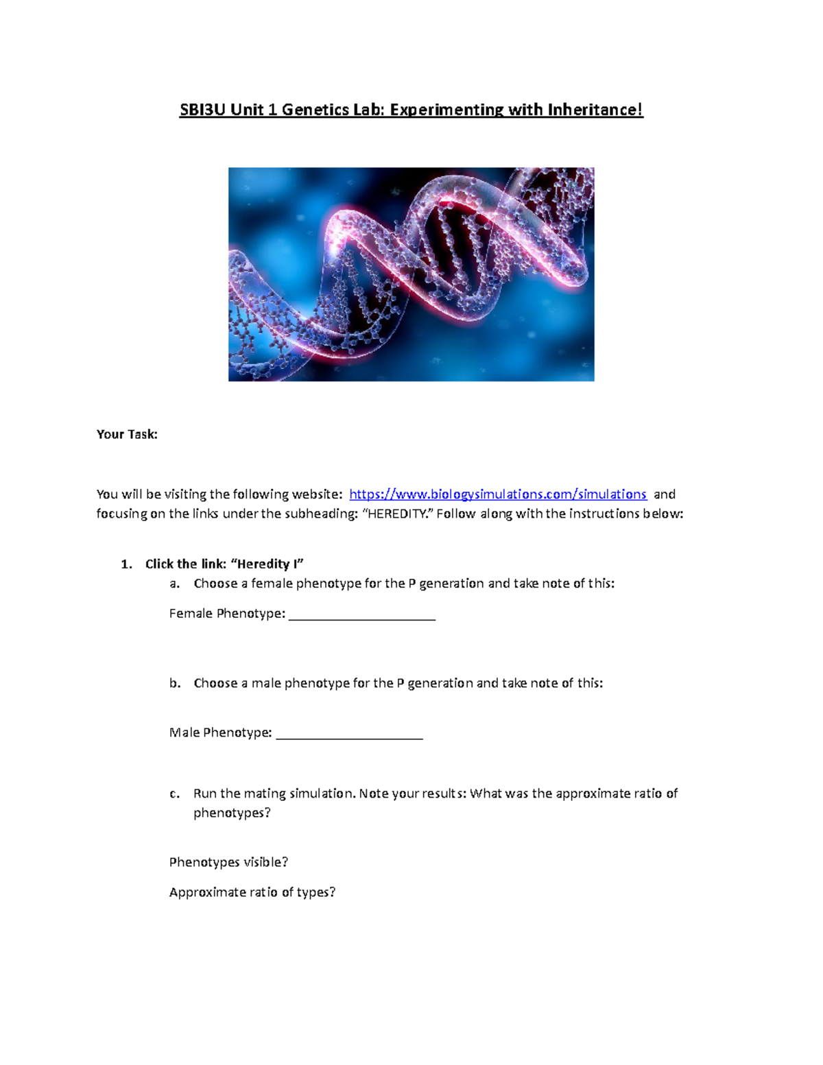 SBI3U Unit 1 lab notes - SBI3U Unit 1 Genetics Lab: Experimenting with ...