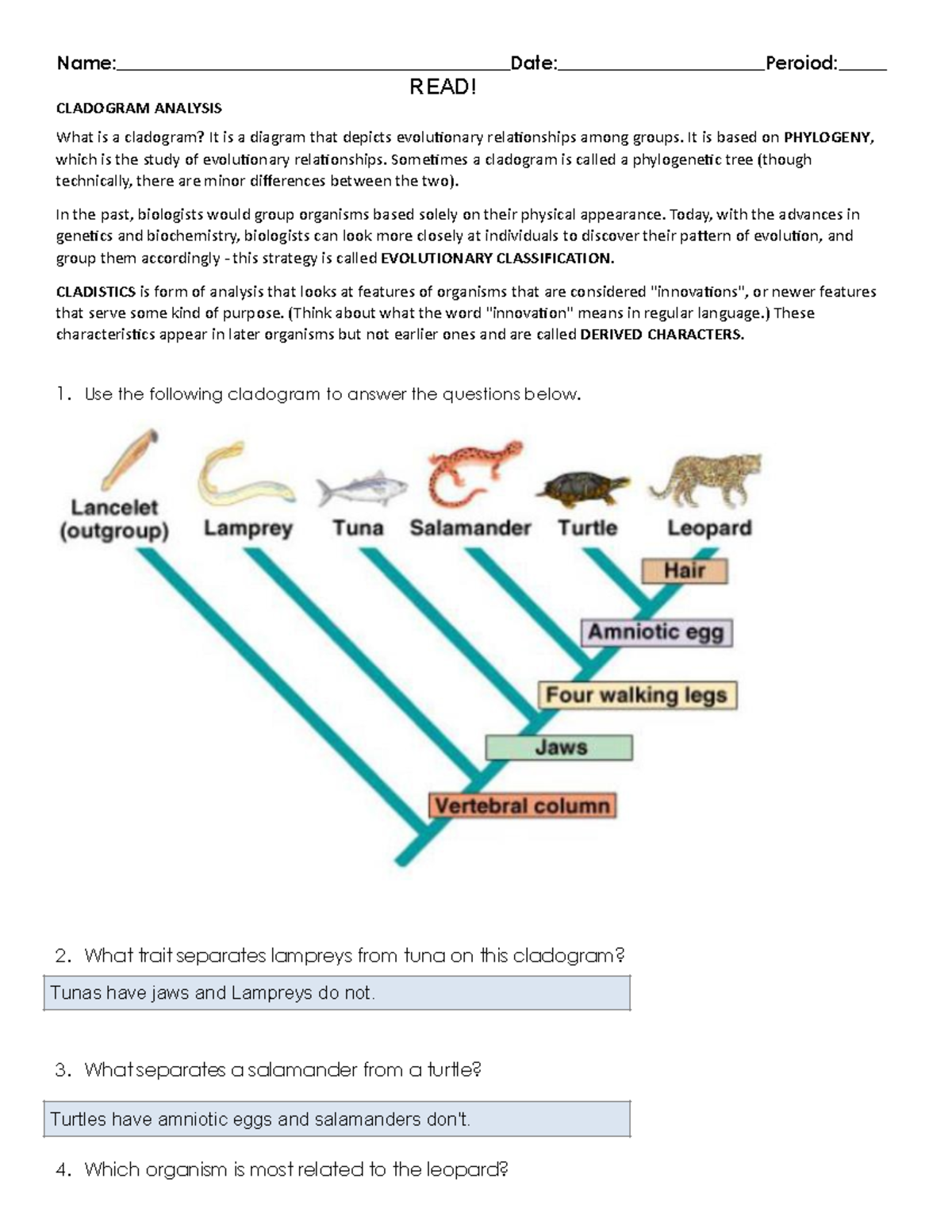 S3S2 Cladogram-Worksheet-Practice-Redman-92dd3a-9570b3 - Name: Date ...