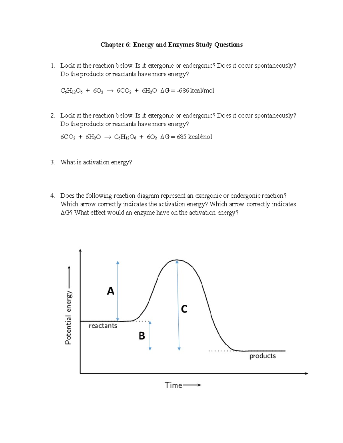 Chapter 6- Energy and Enzymes- Study Questions - Is it exergonic or ...